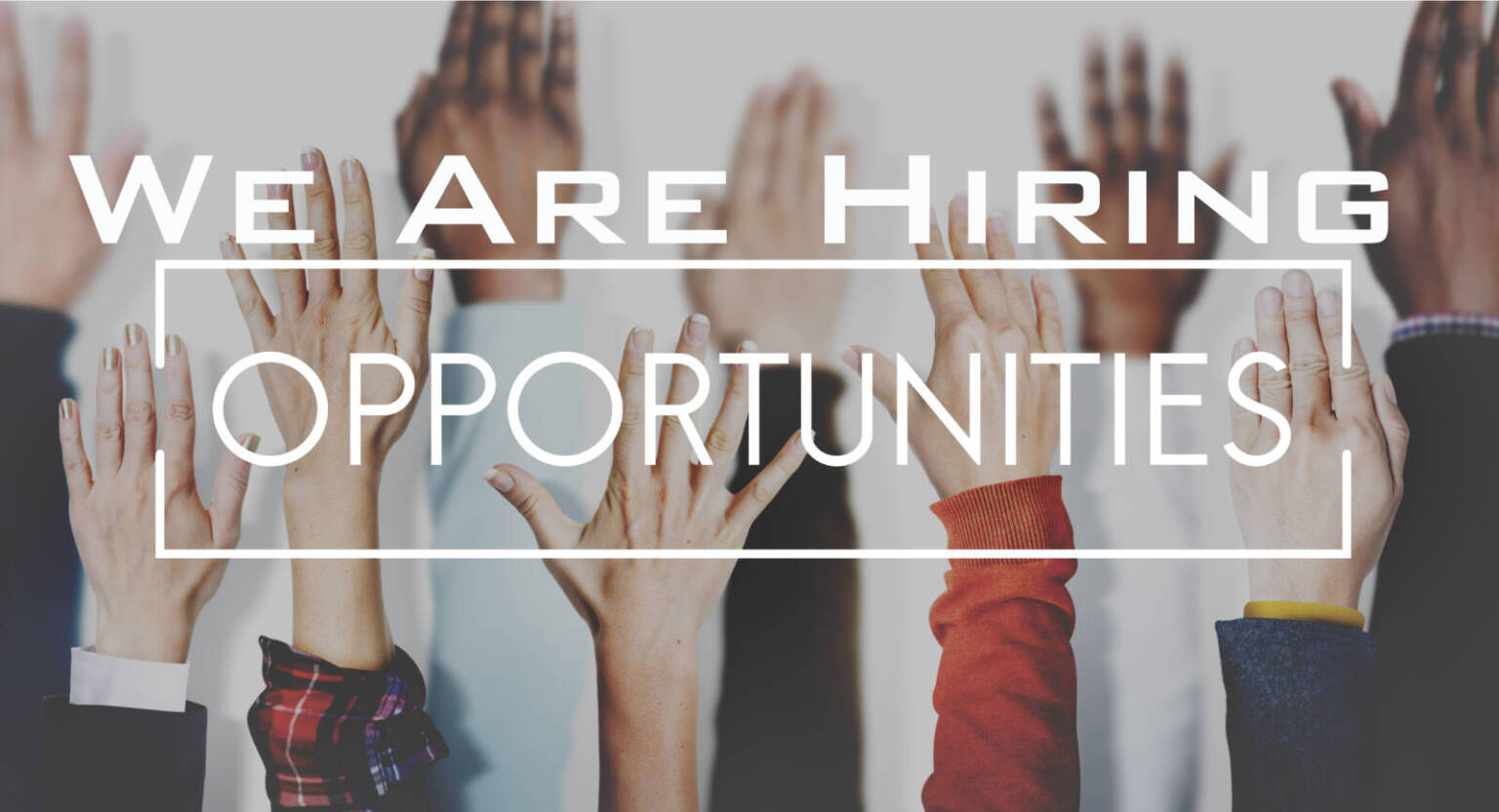 Employment - Ada S. McKinley